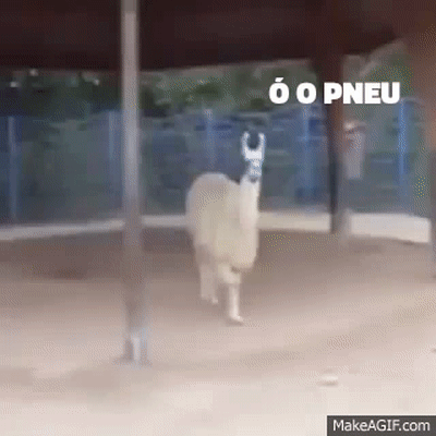 É GOODYEAR? on Make a GIF