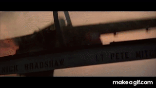 Top Gun Goose Gif
