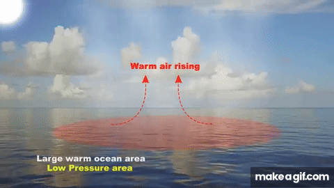 Tropical Cyclone, Hurricane, Storm Formation explained | Cyclone ...