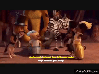 The best of Madagascar 3 (funniest moments) on Make a GIF