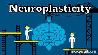 Neuroplasticity on Make a GIF