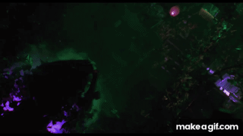 Poison Ivy Batman And Robin Gif