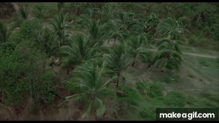 Willem Dafoe Death Scene | PLATOON (1986) Movie CLIP HD on Make a GIF