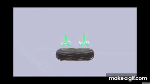 Classical Pathway of Complement Activation 3D ANIMATION! on Make a GIF