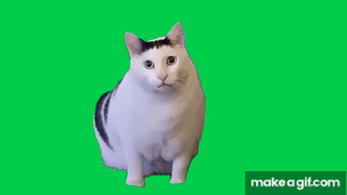 Huh Cat Meme Green Screen on Make a GIF