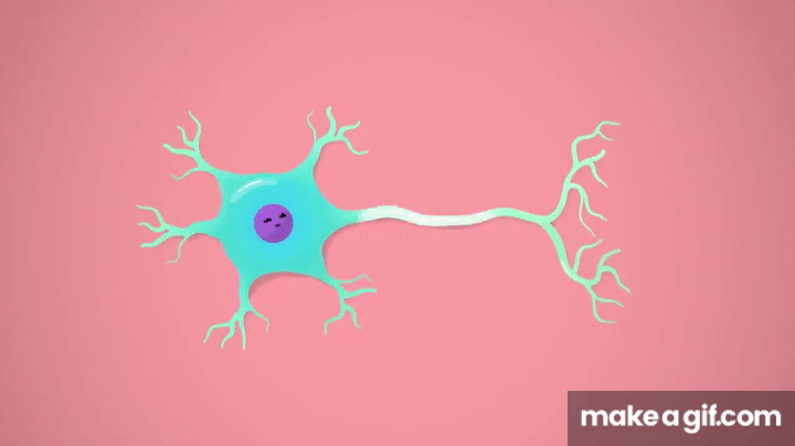 Neuron_Signal on Make a GIF