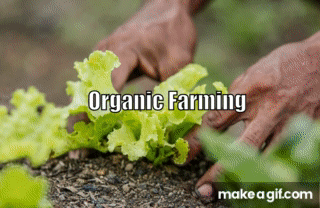 Farming for a Better World on Make a GIF