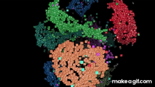 A.I. Experiments: Visualizing High-Dimensional Space on Make a GIF