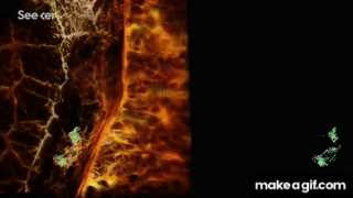 Your Textbooks Are Wrong, This Is What Cells Actually Look Like on Make ...