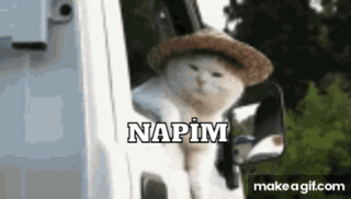 napim on Make a GIF