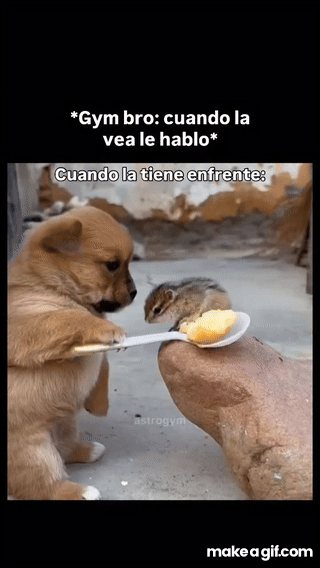 Perrito Temblando on Make a GIF