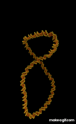 Dancing DNA on Make a GIF