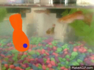 FISH EATING GRAVEL on Make a GIF