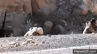 MG3 Machine Gun Fail: MG3 In The Wrong Hands - How Not To Fire A MG3 ...