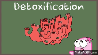 Introduction to Cells: The Grand Cell Tour on Make a GIF