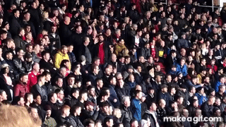 Two Southampton fans seen making plane gestures to Cardiff supporters ...
