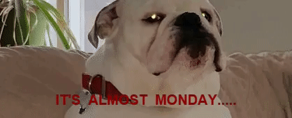 IT'S ALMOST MONDAY ...... on Make a GIF