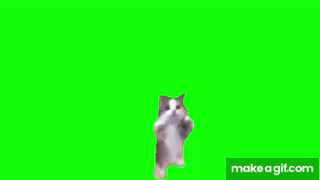 Happy Happy Happy Cat Meme Green Screen #funny #meme #cat…ノリノリ子猫 on ...