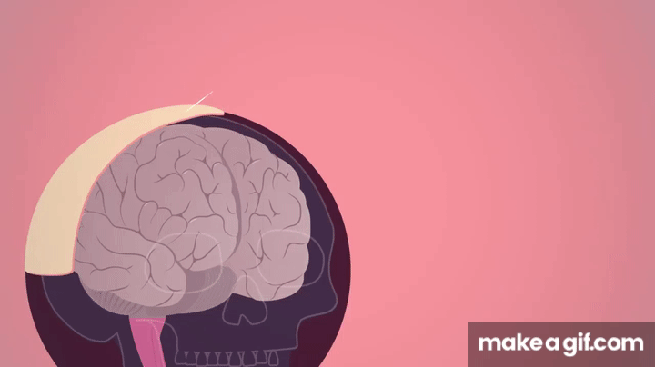 CNS_Protection on Make a GIF