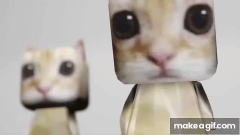 Shimmy Shimmy Ya Meme on Make a GIF