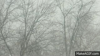 snowing on Make a GIF