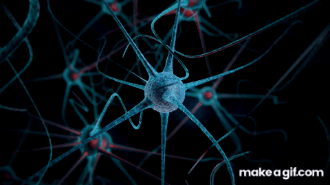 Neuron system model 3D Animation FREE video background on Make a GIF