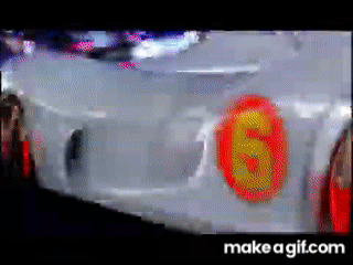 Speed Racer Zebras on Make a GIF