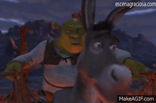 Burro Shrek Gif 12 HORAS Do BURRO Perguntando Se Já Chegou!!!