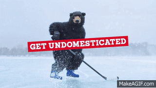 Labatt Blue Pond Hockey on Make a GIF
