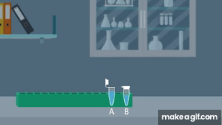 Forward Pipetting Technique with a Manual Micropipette on Make a GIF