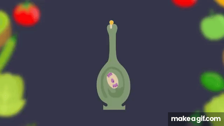 Sexual Reproduction in Plants | Plants | Biology | FuseSchool on Make a GIF