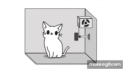 Schrödinger's Cat - The Biggest Mystery of Physics is Finally Solved ...