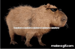 Capy on Make a GIF