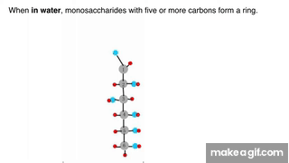 Lesson Video - Carbohydrates on Make a GIF