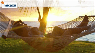 Zon Gif