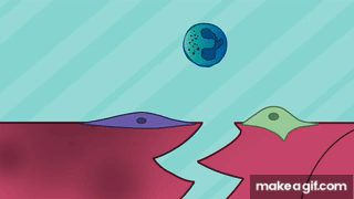 Inflammation within Muscle Regeneration on Make a GIF