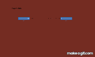 RNA Splicing on Make a GIF