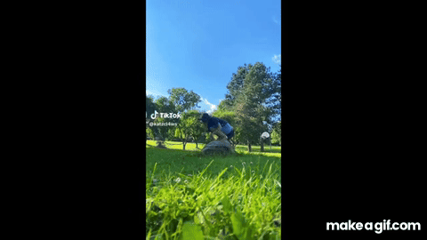 🐾🐚therian compilation🐚🐾 on Make a GIF