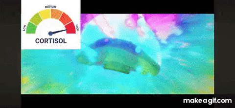 Umamusume Cortisol Dance | Agnes Tachyon on Make a GIF