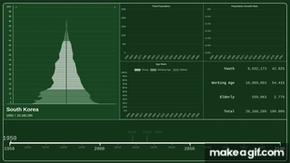 🇰🇷 South Korea — Population Pyramid from 1950 to 2100 on Make a GIF