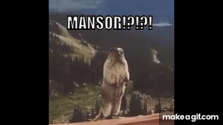 Screaming Beaver Meme on Make a GIF