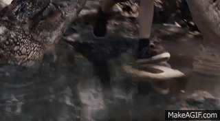 Loogie Jumps In An Alligator on Make a GIF