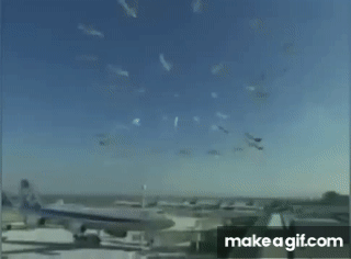 Boeing 747 Chipi Chipi Chapa Chapa Ana Gif on Make a GIF