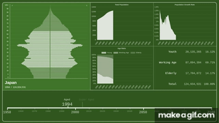 🇯🇵 Japan — Population Pyramid from 1950 to 2100 on Make a GIF