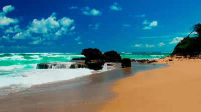Relaxing Beach Gif Relaxing Beach Gif
