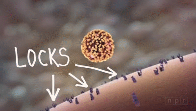 Flu Attack! How A Virus Invades Your Body on Make a GIF