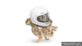 Harlem Shake (TELUS critters original edition) on Make a GIF