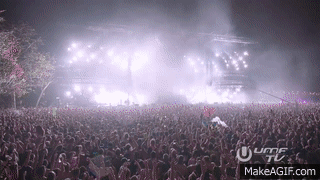 Axwell Λ Ingrosso Ultra Music Festival Miami 2017 [LIVE] on Make a GIF