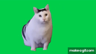 Huh Cat Meme Green Screen on Make a GIF