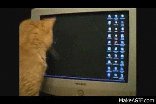 System Admin Cat on Make a GIF